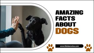 100+ Amazing Facts About Dogs - [Finally Revealed]