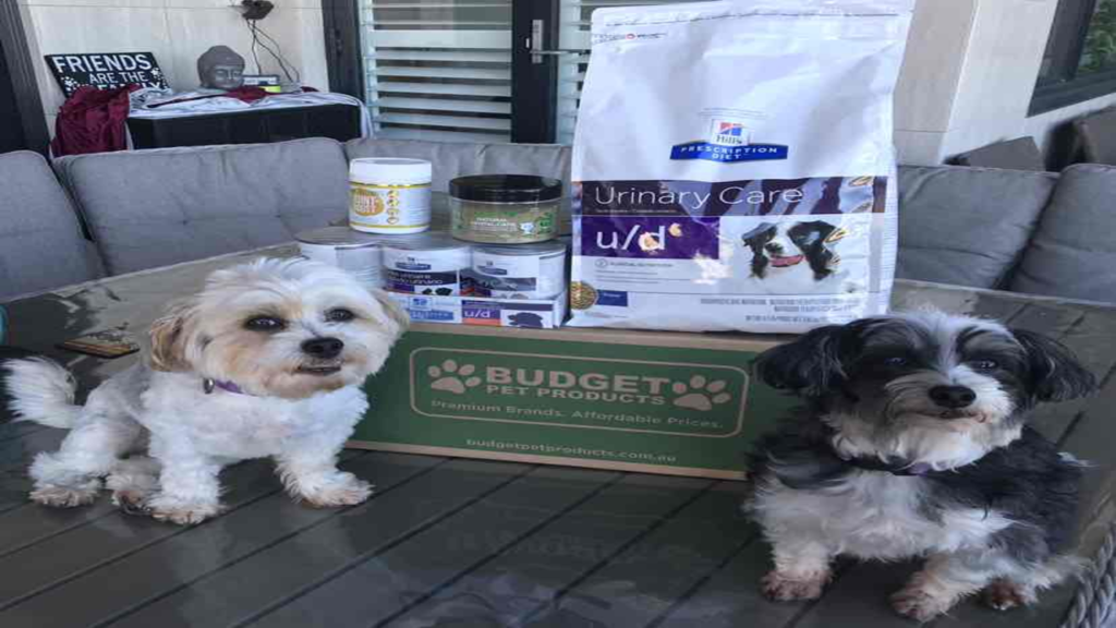 Hills UD Dog Food Alternative - [ Dogs Good Diet & Food Suggestions ]