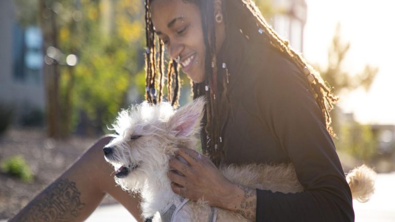 Why Dog Standing Still And Staring? [9 Exclusive Reasons]