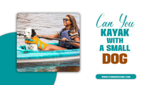 Can You Kayak With A Small Dog? - Embrace Adventure!
