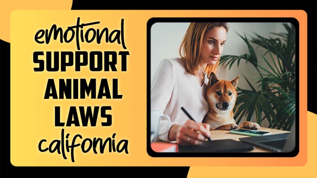 Emotional Support Animal Laws California - Exclusive Guide