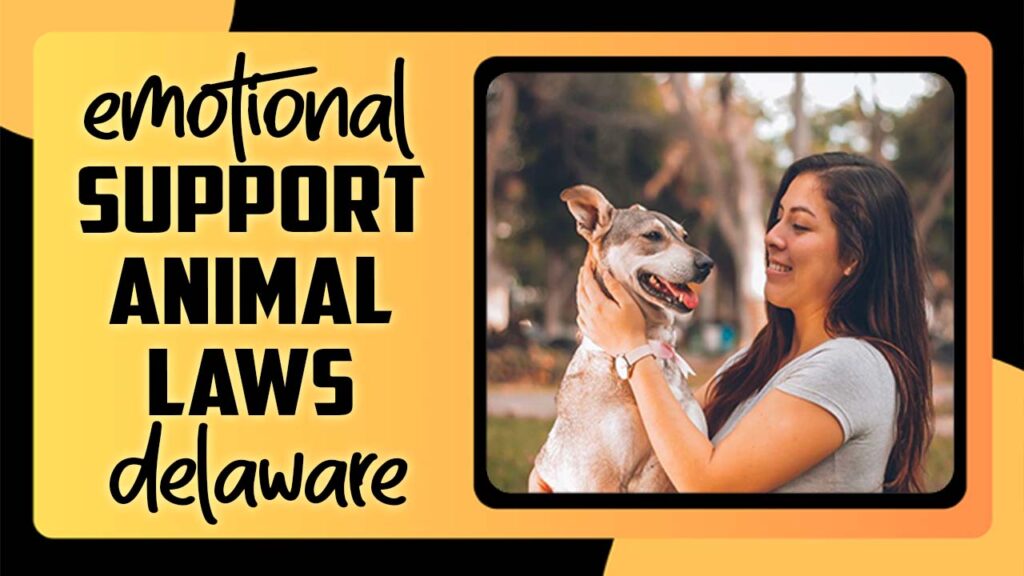 Emotional Support Animal Laws Delaware: Explore Expert Tips!
