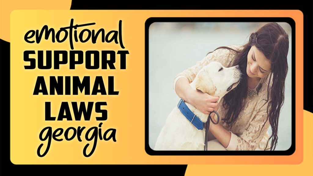 Emotional Support Animal Laws Georgia: Follow The Guide