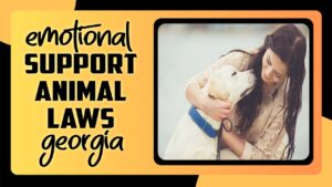 Emotional Support Animal Laws Georgia: Follow The Guide