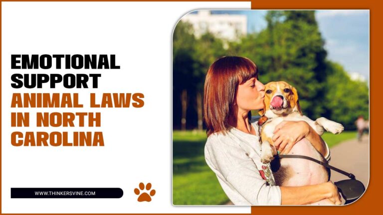 Emotional Support Animal Laws In North Carolina: Explained