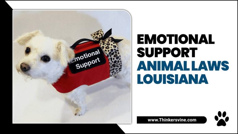 Emotional Support Animal Laws Louisiana: Follow The Guide