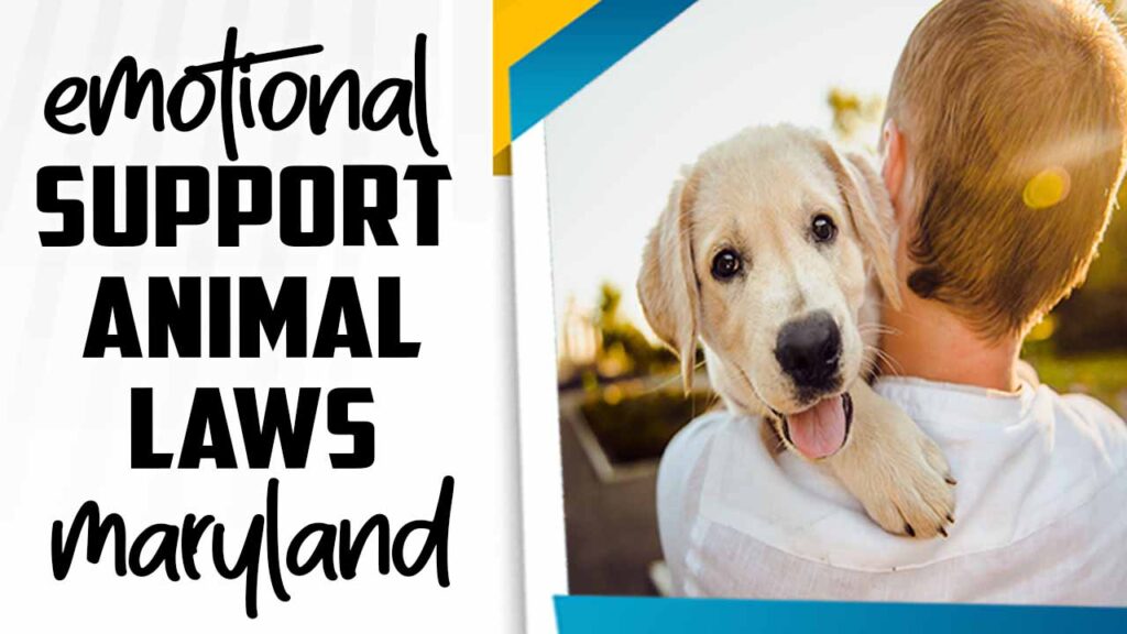 Emotional Support Animal Laws Maryland: Follow The Guide