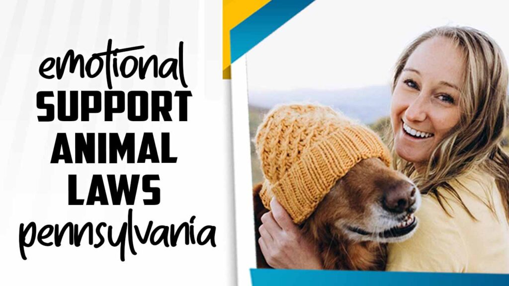 Emotional Support Animal Laws Pennsylvania: A Legal Guide