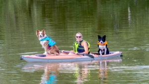 Kayak Platform For Dogs: Elevate Canine Adventures!