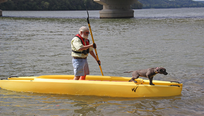 Kayak Platform For Dogs: Elevate Canine Adventures!