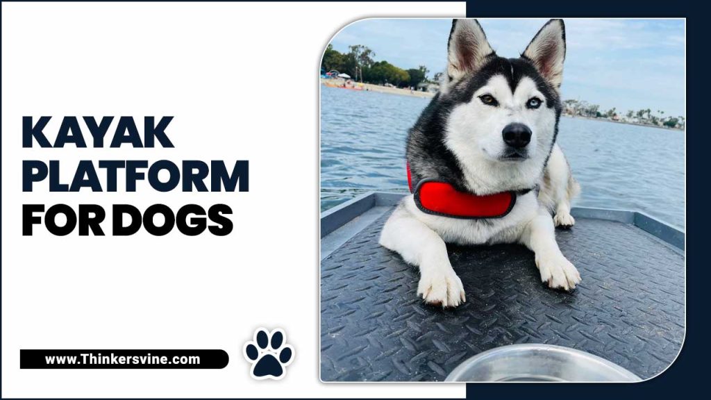 Kayak Platform For Dogs: Elevate Canine Adventures!