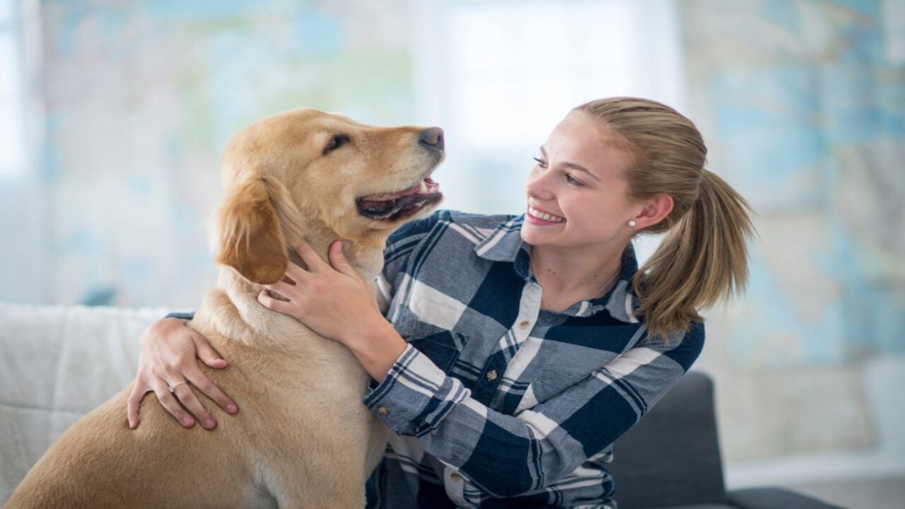 Emotional Support Animal Laws North Carolina - A Definitive Guide