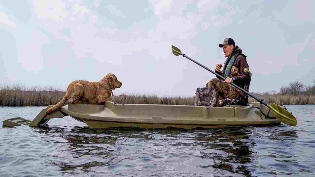 Kayak Platform For Dogs: Elevate Canine Adventures!