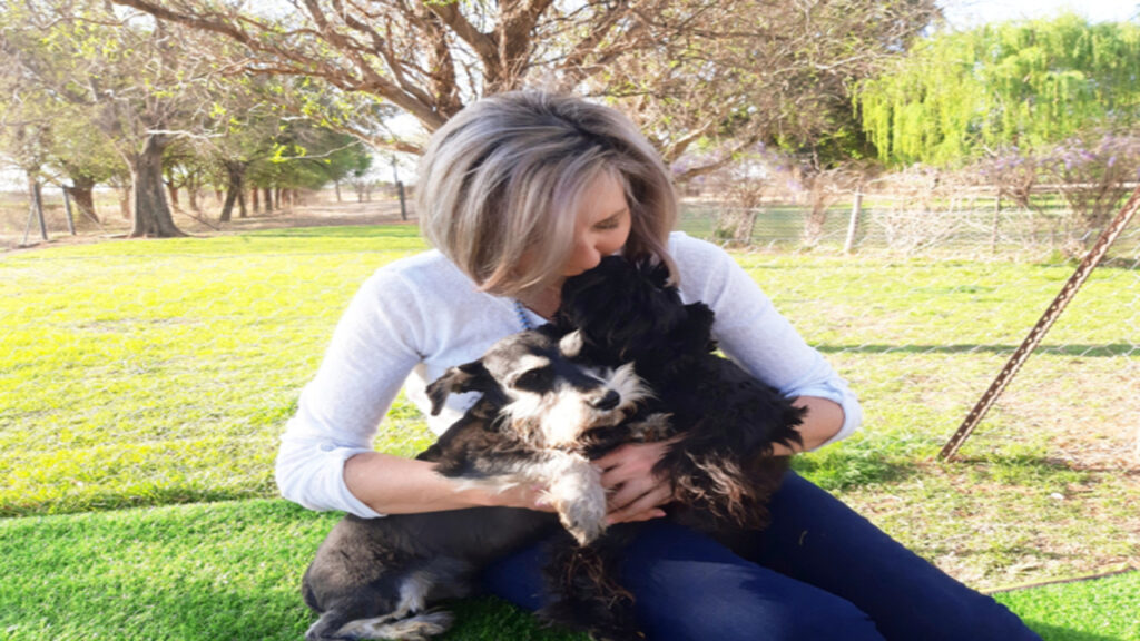 Schnauzer Cocker Spaniel Mix: Know All About Schnocker!