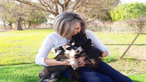 Schnauzer Cocker Spaniel Mix: Know All About Schnocker!