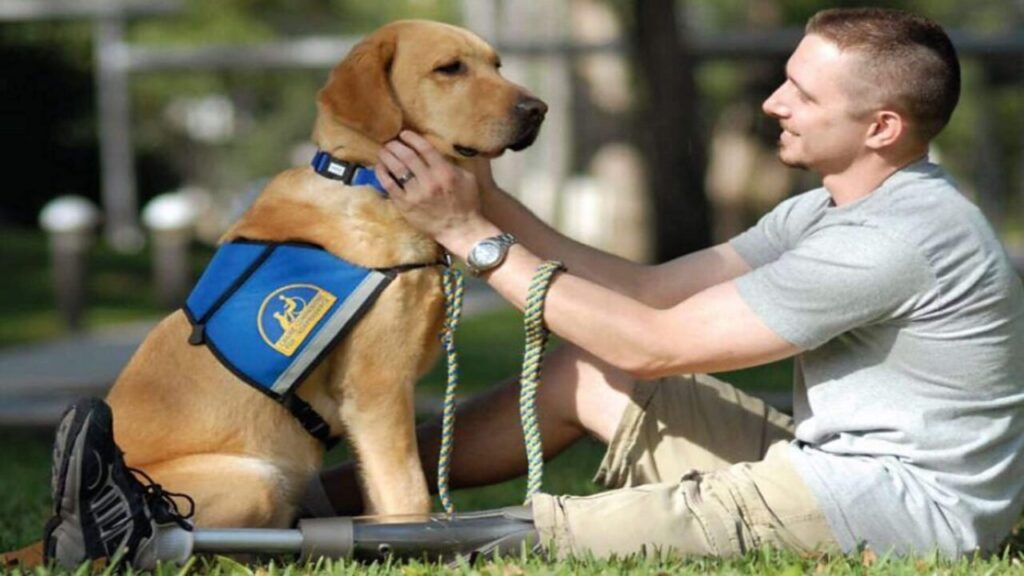 Emotional Support Animal Laws In Utah - A details Guide