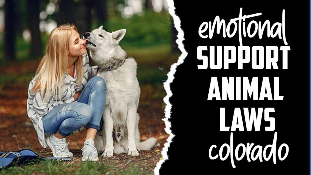 Emotional Support Animal Laws Colorado - Effective Answer
