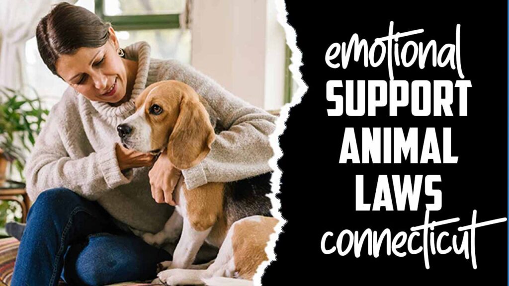 Emotional Support Animal Laws Connecticut - Comprehensive Guide