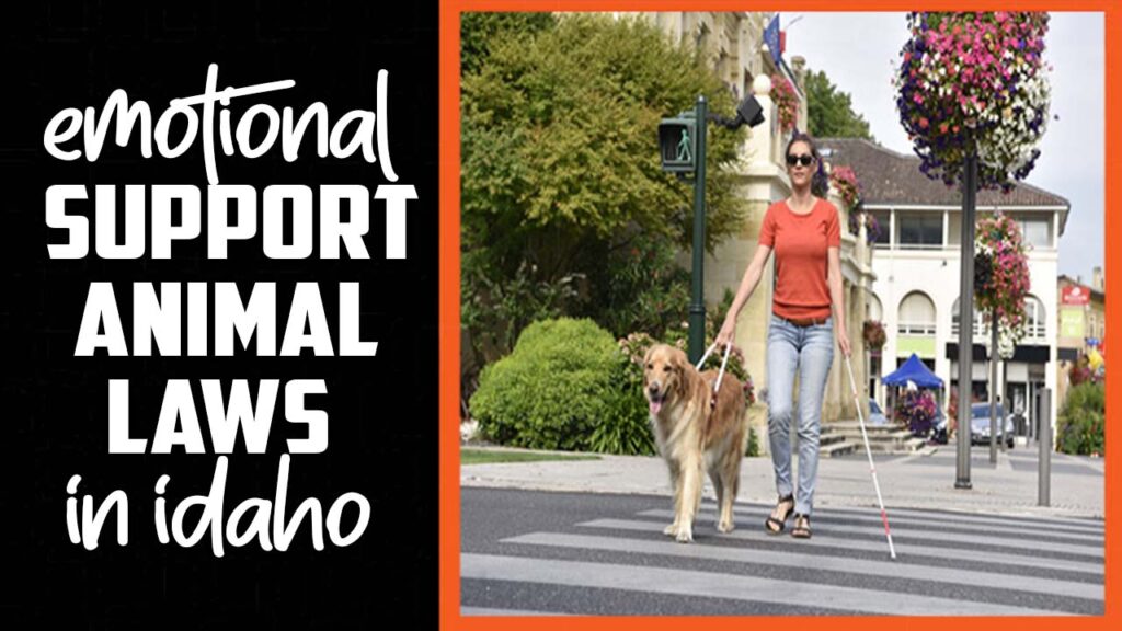 Emotional Support Animal Laws in Idaho: A Guide for Dogs