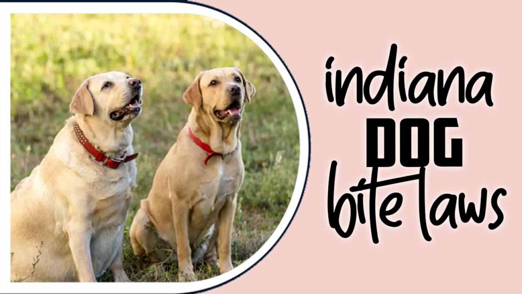 Indiana Dog Bite Laws - Amazing Explained