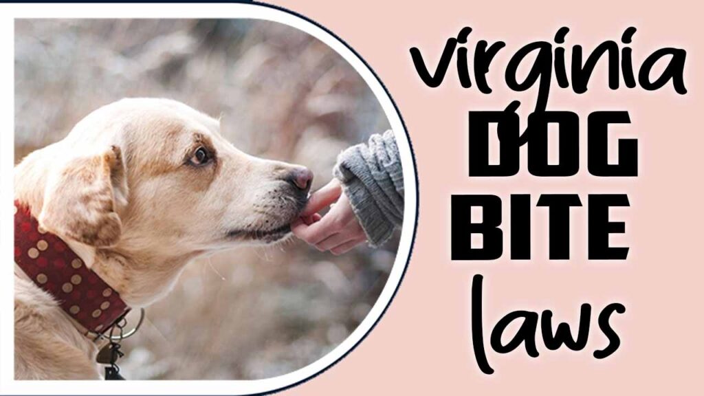 Virginia Dog Bite Laws - Comprehensive Guide