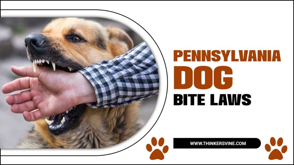 Pennsylvania Dog Bite Laws - A Beginner's Guide