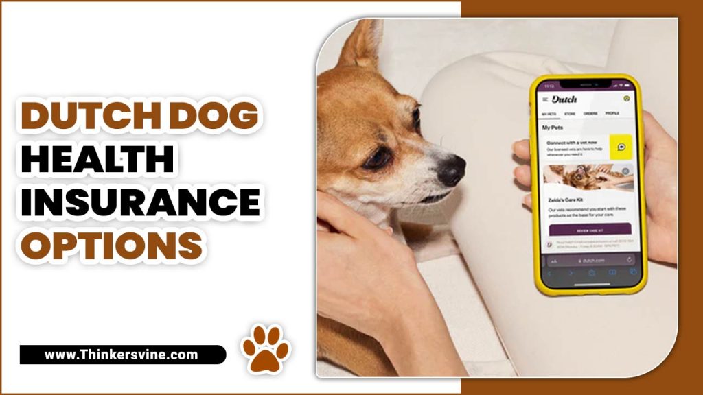Dutch Dog Health Insurance Options: Pamper Your Pooch