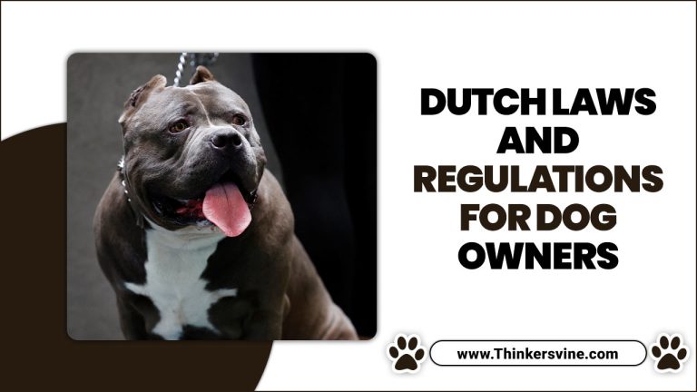 Dutch Laws And Regulations For Dog Owners - Paw-fect Compliance